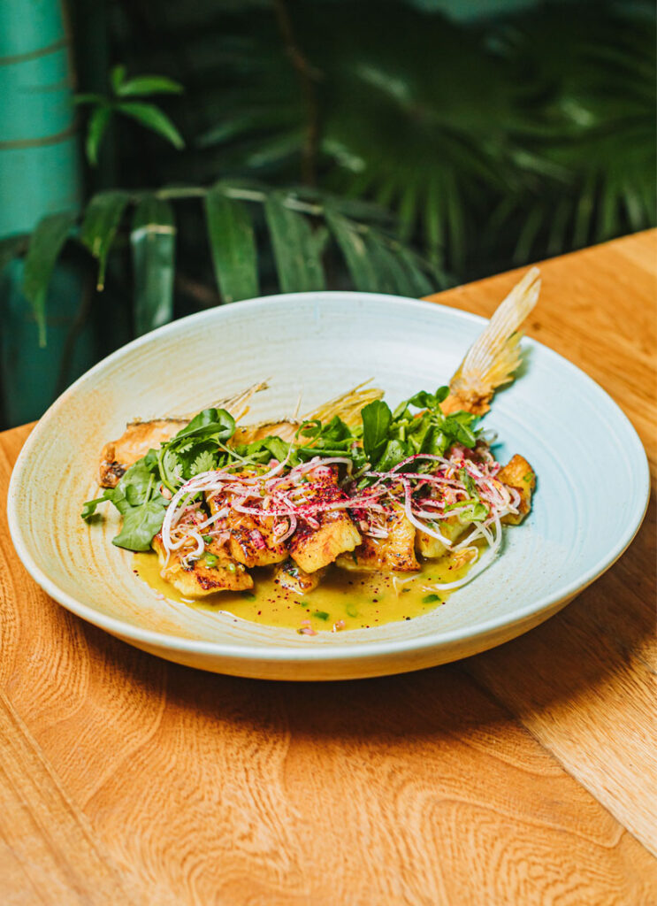 Maito – Grupo Maito